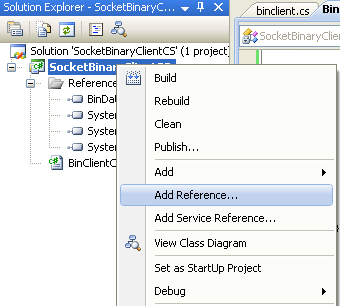 The C# .NET binary client socket program example with source codes and output samples