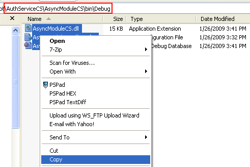 Tutorial on how to develop and build the C# asynchronous class library web service .NET ...